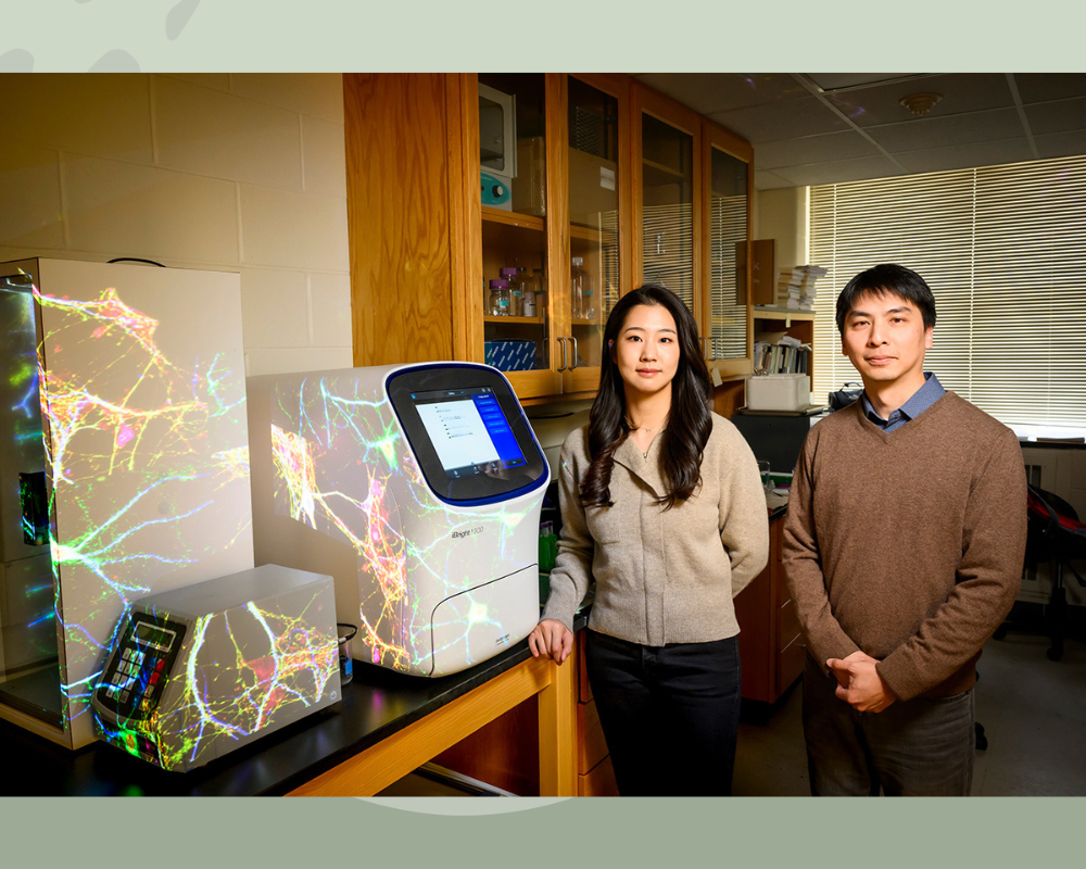 Earliest-yet Alzheimer’s biomarker found in mouse model could point to new targets | School of ...